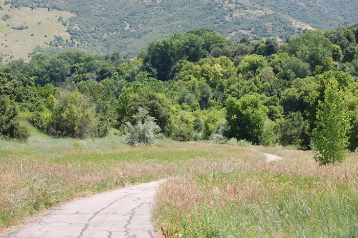 5 Favorite Nature Trails | littlemountaineers